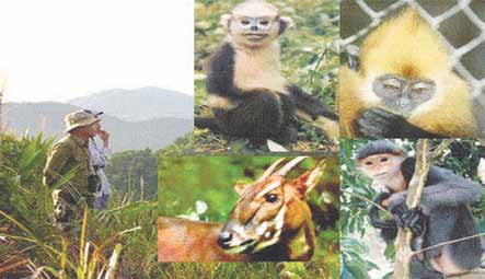 Biodiversity and sustainable development, The importance of governance ...